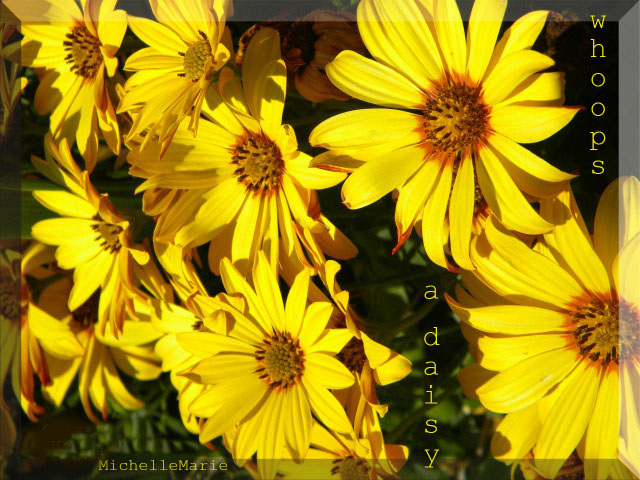 Whoops-A-Daisy Wednesday – Tell Me About It