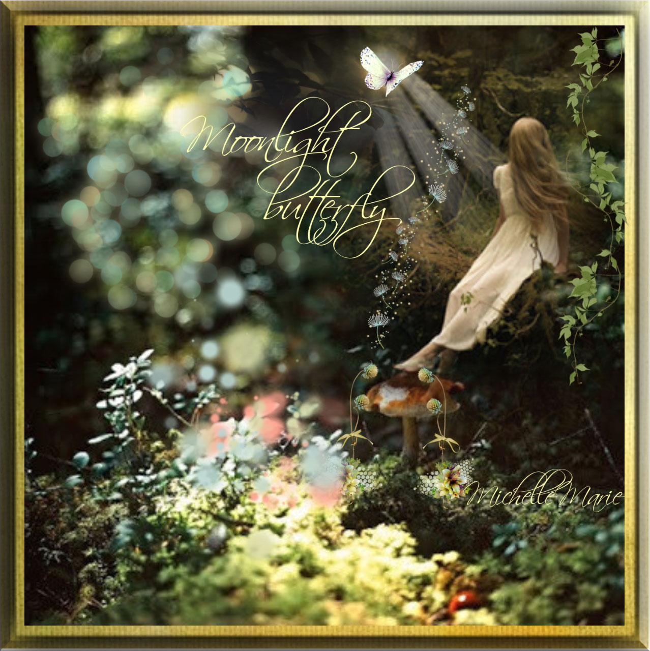 Moonlight butterfly… – Tell Me About It